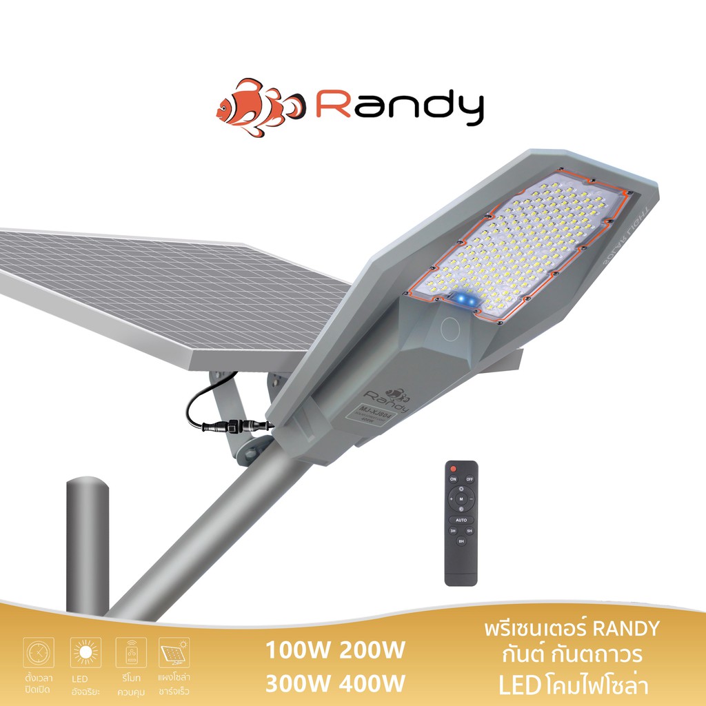 RANDY โซล่าเซลล์ไฟถนน - โปรโมชั่น โค้ดส่วนลด 4289